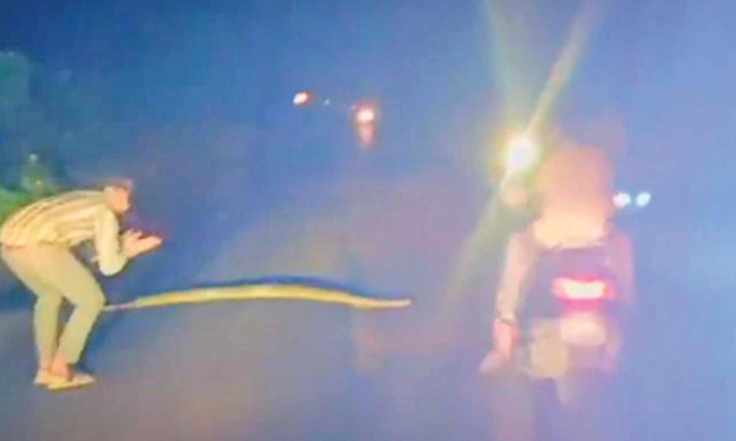 சாலையை கடக்க போக்குவரத்தை நிறுத்தி மலைப்பாம்புக்கு உதவிய வாலிபர் ...