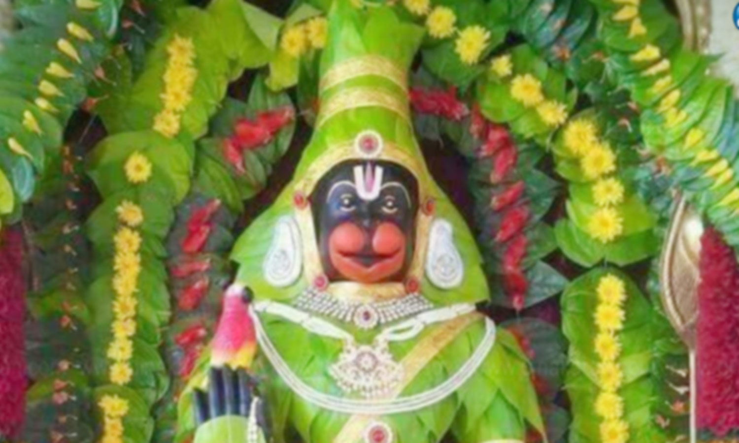 வெற்றி தரும் வெற்றிலை மாலை! | Vetri Tharum Vetrilai Maalai!