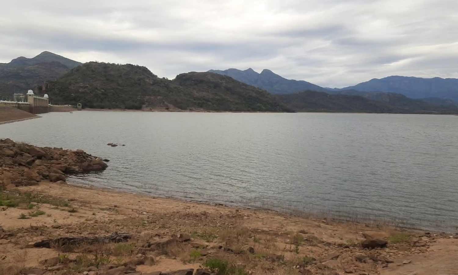 வேகமாக சரியும் உடுமலை அமராவதி அணை நீர்மட்டம்- சாகுபடி பணிகள் பாதிப்பு ...