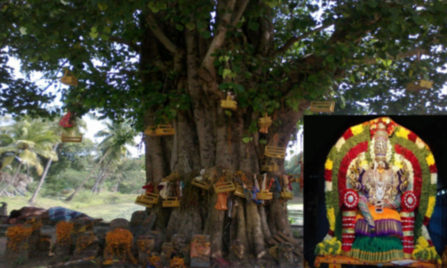 மேல்மலையனூர் அங்காளம்மன்-தொட்டில் கட்டினால் குழந்தை! | Melmalayanur ...