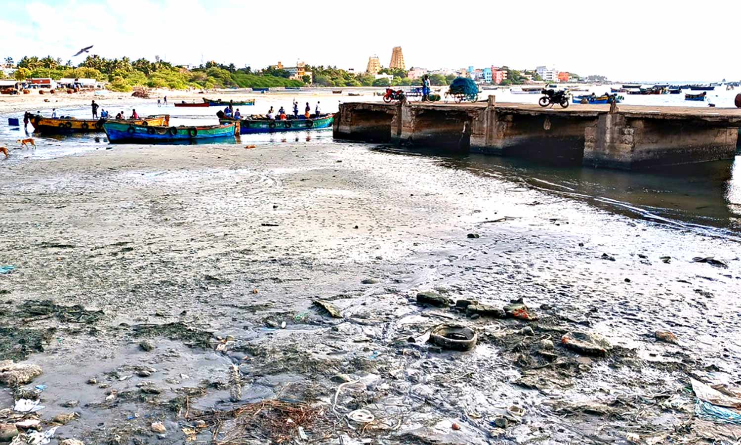 மன்னார் வளைகுடா கடலில் சூறைக்காற்று: ராமேசுவரத்தில் 50 மீட்டர் ...