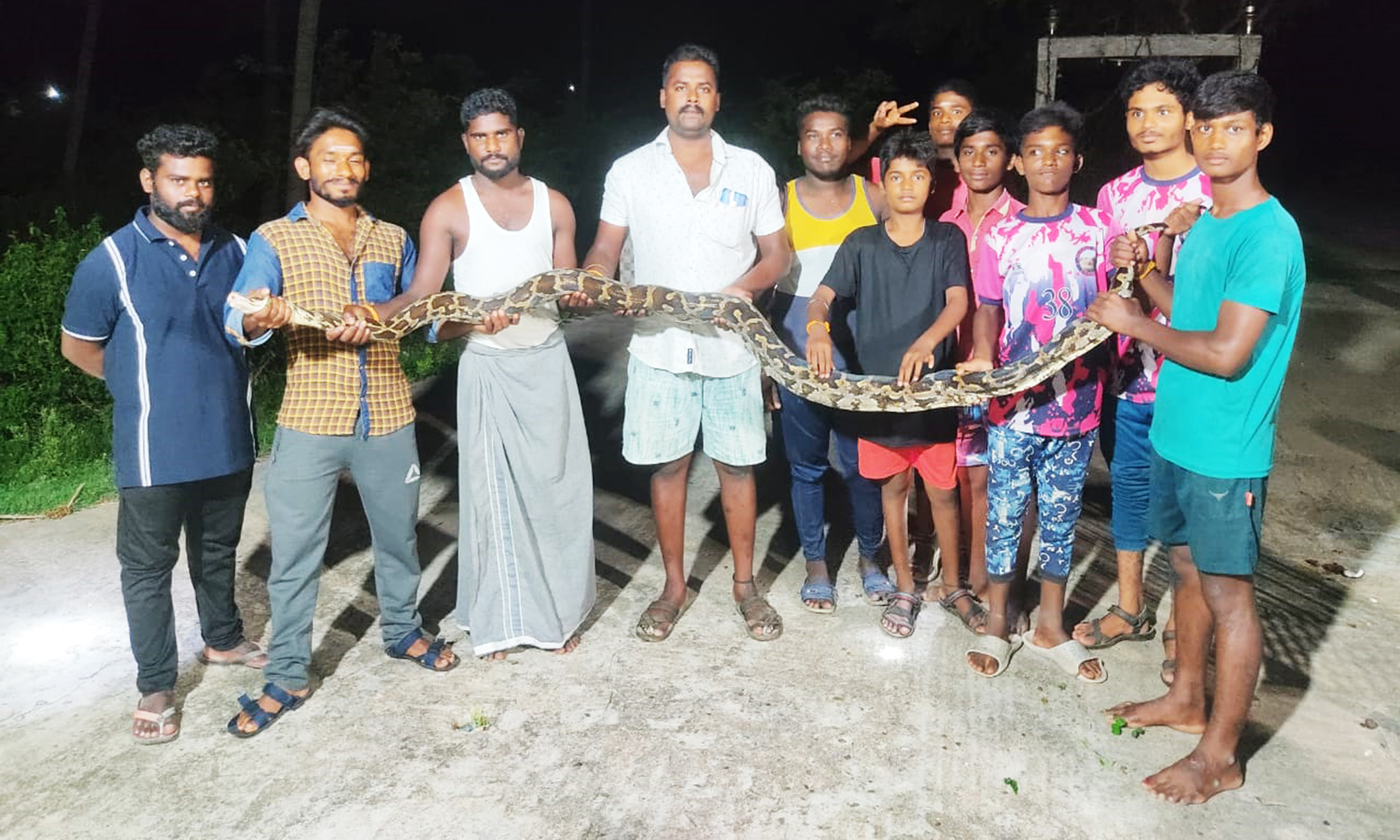 15 அடி நீளம் கொண்ட மலை பாம்பு பிடிபட்டது | Vellore News A 15 feet long mountain snake was caught