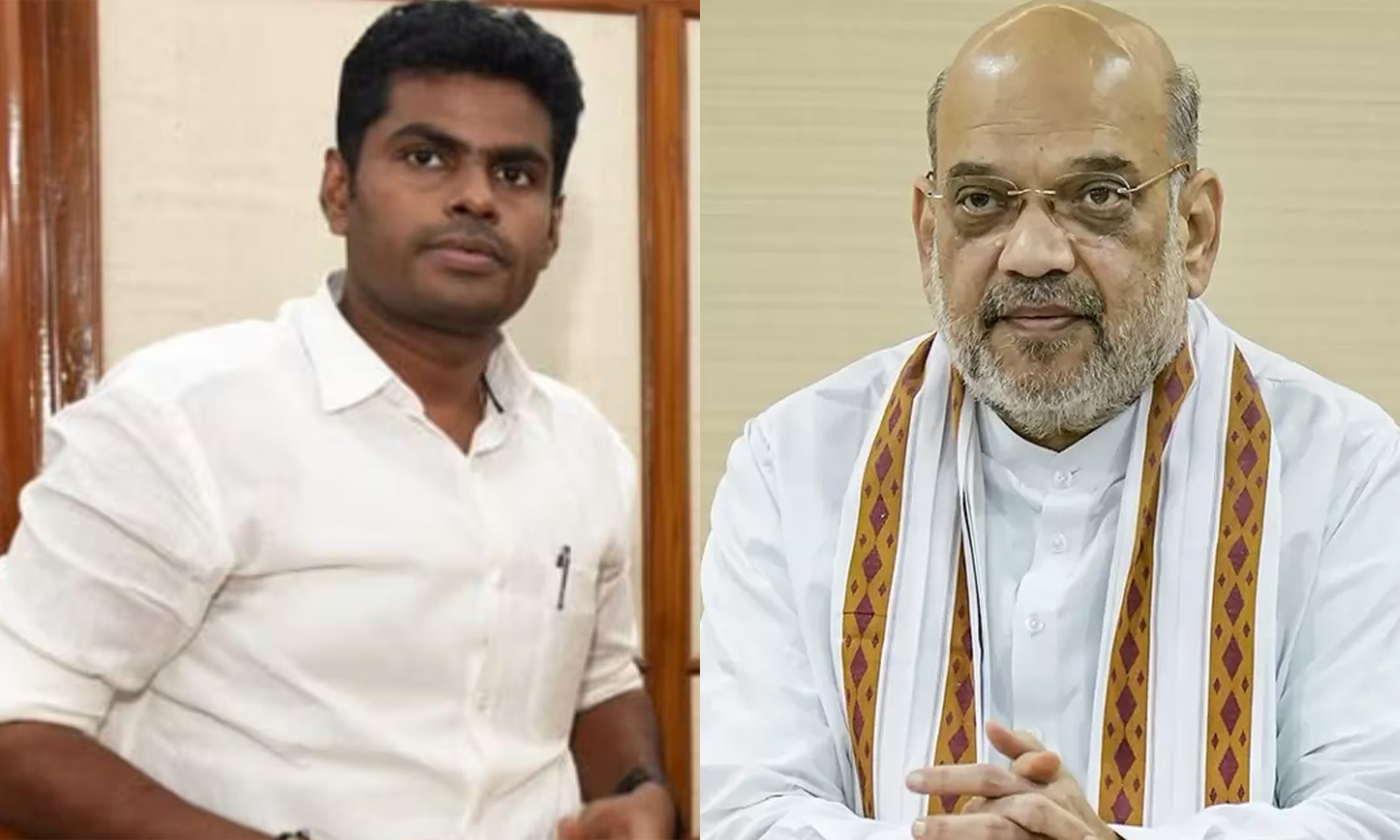 அமித்ஷாவை இன்று அண்ணாமலை சந்திக்கிறார் பா ஜனதா தலைமையில் புதிய அணி