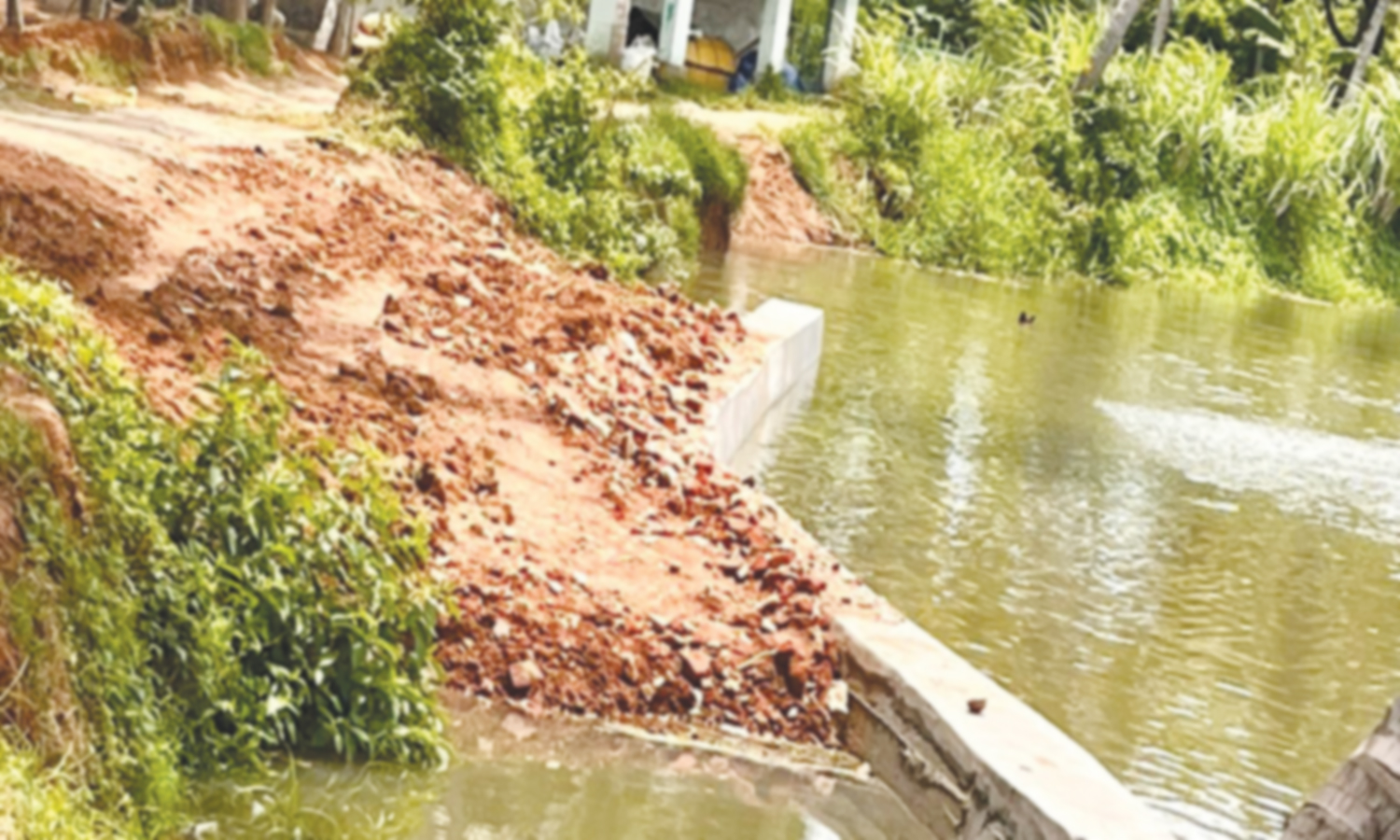 மிடாலம் ஊராட்சியில் பாசன குளத்தின் நடுவே தடுப்பு சுவர் கட்ட வேண்டும் ...