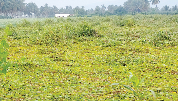 எடப்பாடி சுற்றுவட்டார பகுதிகளில்இடி, மின்னலுடன் பலத்த மழை | Salem ...