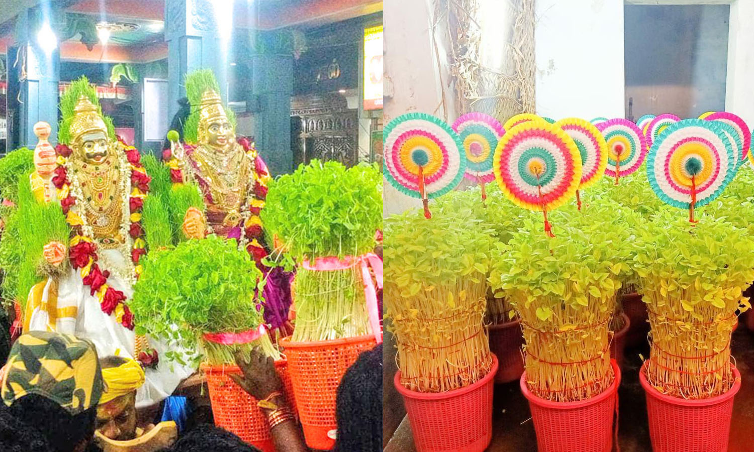 செல்வம் தரும் முளைப்பாரி ஊர்வலம் | Mulaipari procession which brings wealth