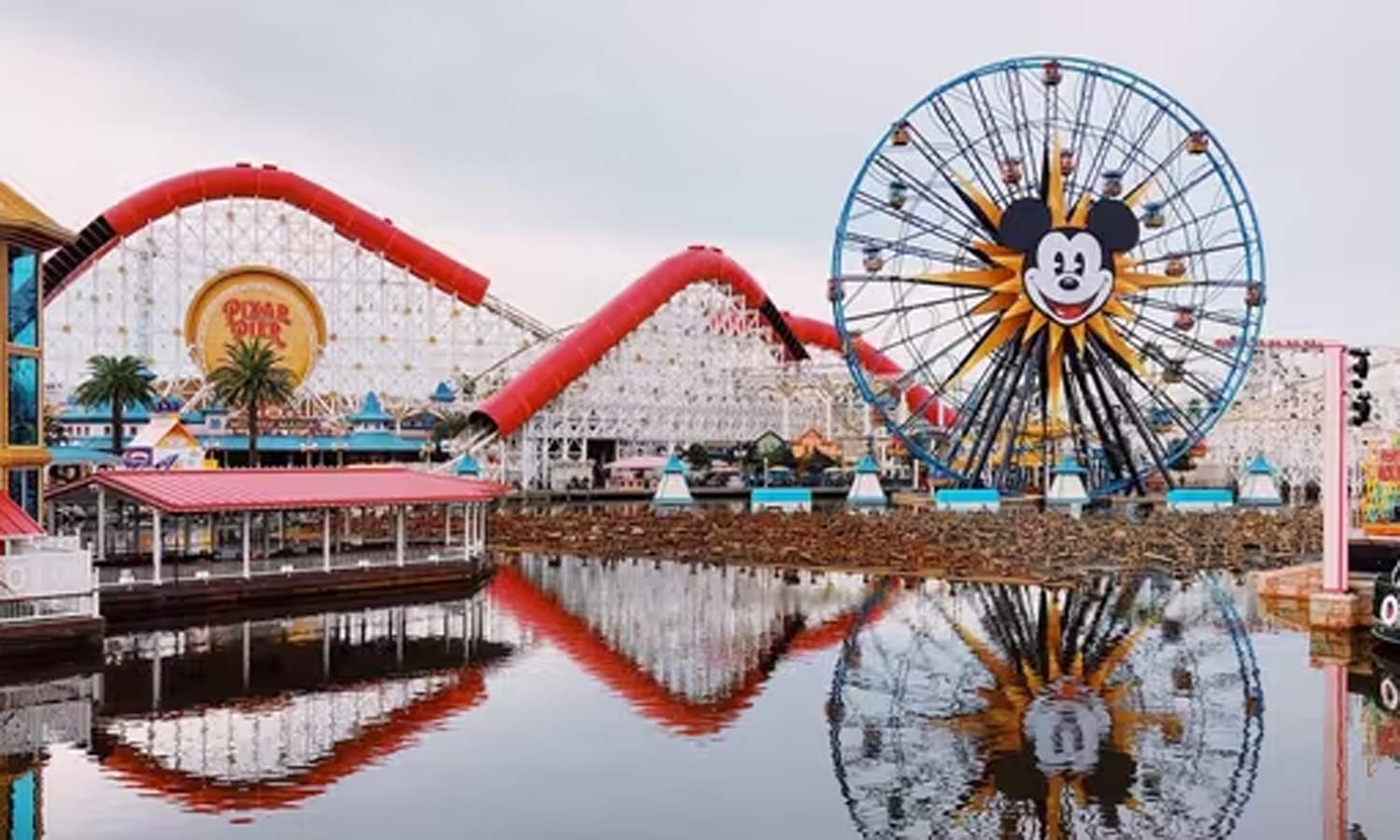 ஊழியர்களுக்கு இன்ப அதிர்ச்சி கொடுத்த சிட்டாடல் நிறுவனம் | Billionaire ...