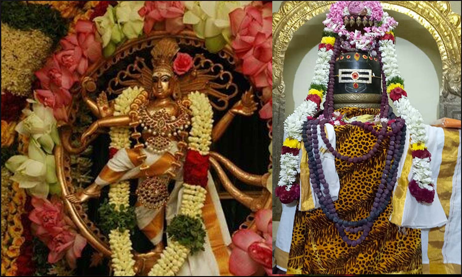 நான்கு யாம வழிபாட்டிற்குரிய திரவியங்கள் | Naangu Yaama ...