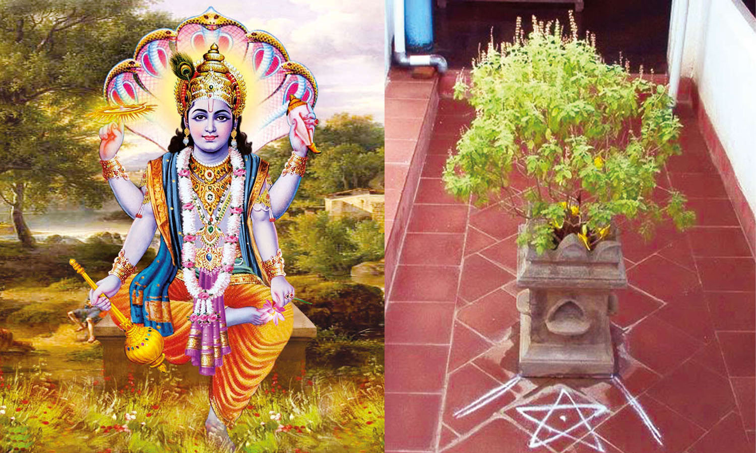 துளசி பிறந்த கதை | The story of Tulsi's birth