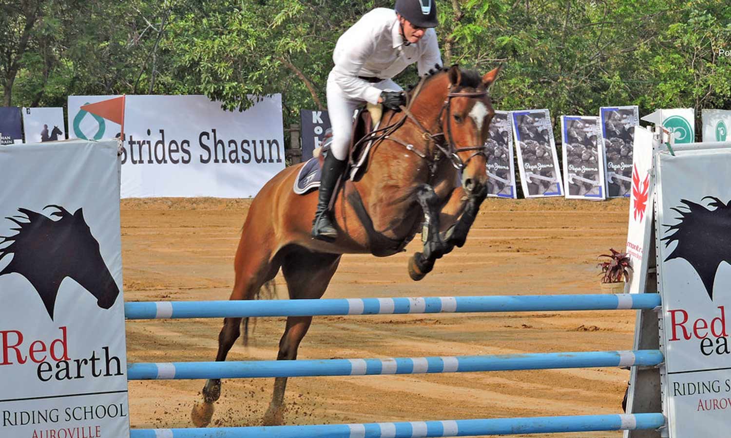 ஆரோவில்லில் தேசிய அளவிலான குதிரையேற்ற போட்டி 18-ந் தேதி தொடங்குகிறது ...