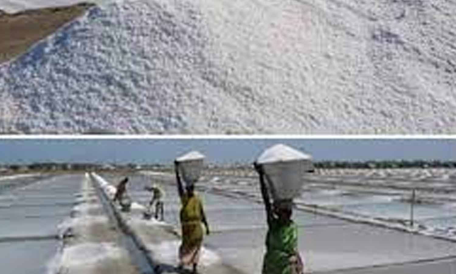 தூத்துக்குடி மாவட்டத்தில் வெள்ளப்பாதிப்பால் உப்பு விலை உயர்வு | Salt ...