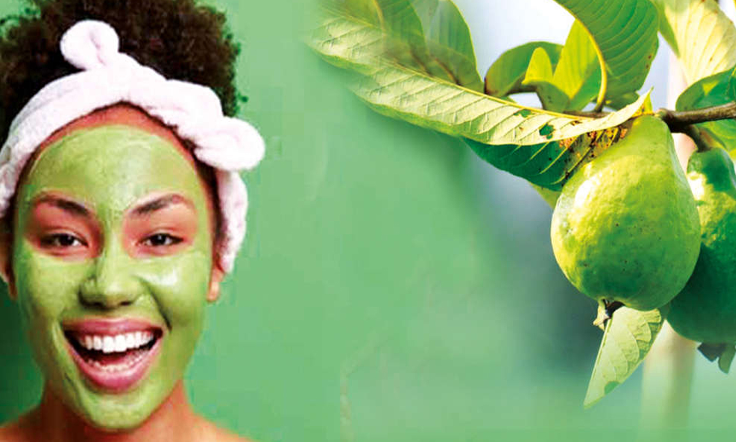 கொய்யா இலையும்... சரும அழகும்... | Guava leaves... skin beauty...