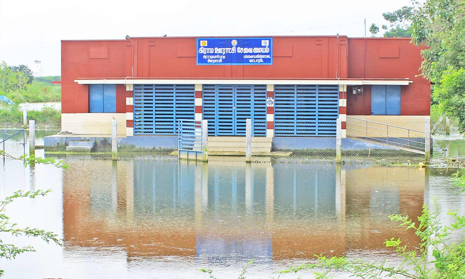 நெல்லை, தூத்துக்குடியில் பரவலாக பெய்தது: கடம்பூர், கழுகுமலையில் 4 ...