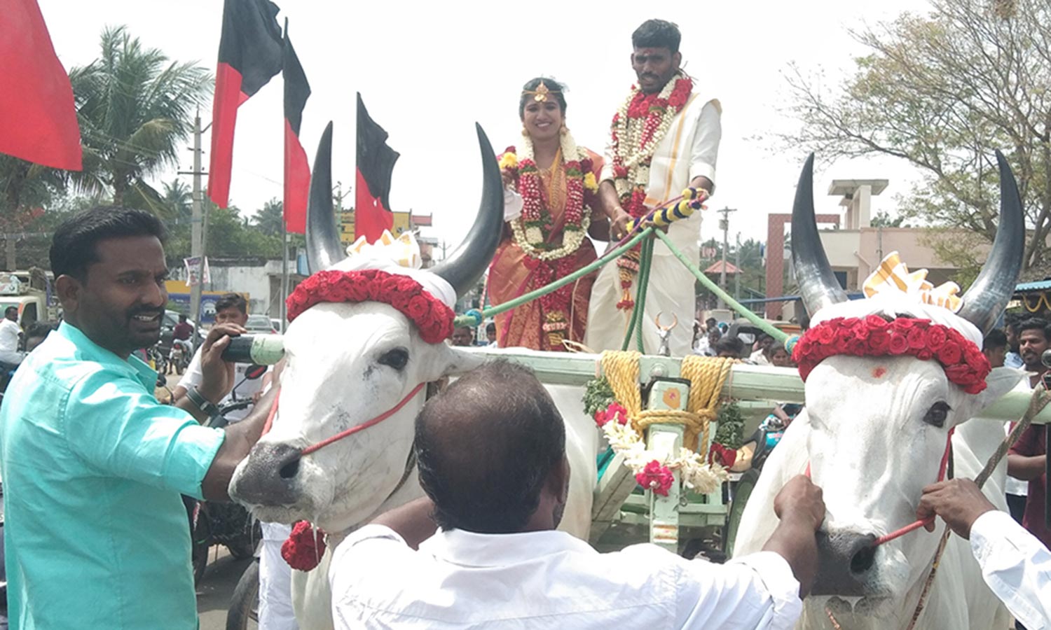 மணக்கோலத்தில் மாட்டு வண்டியில் ஊர்வலமாக வந்த சிங்கப்பூர் என்ஜினீயர் ...