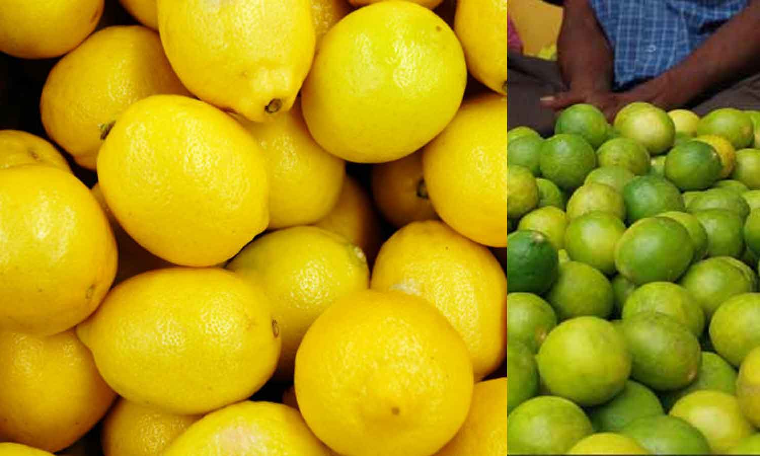 சுட்டெரிக்கும் வெயில்- எலுமிச்சை கிலோ ரூ.150 ஆக அதிகரிப்பு | 150 per kg ...