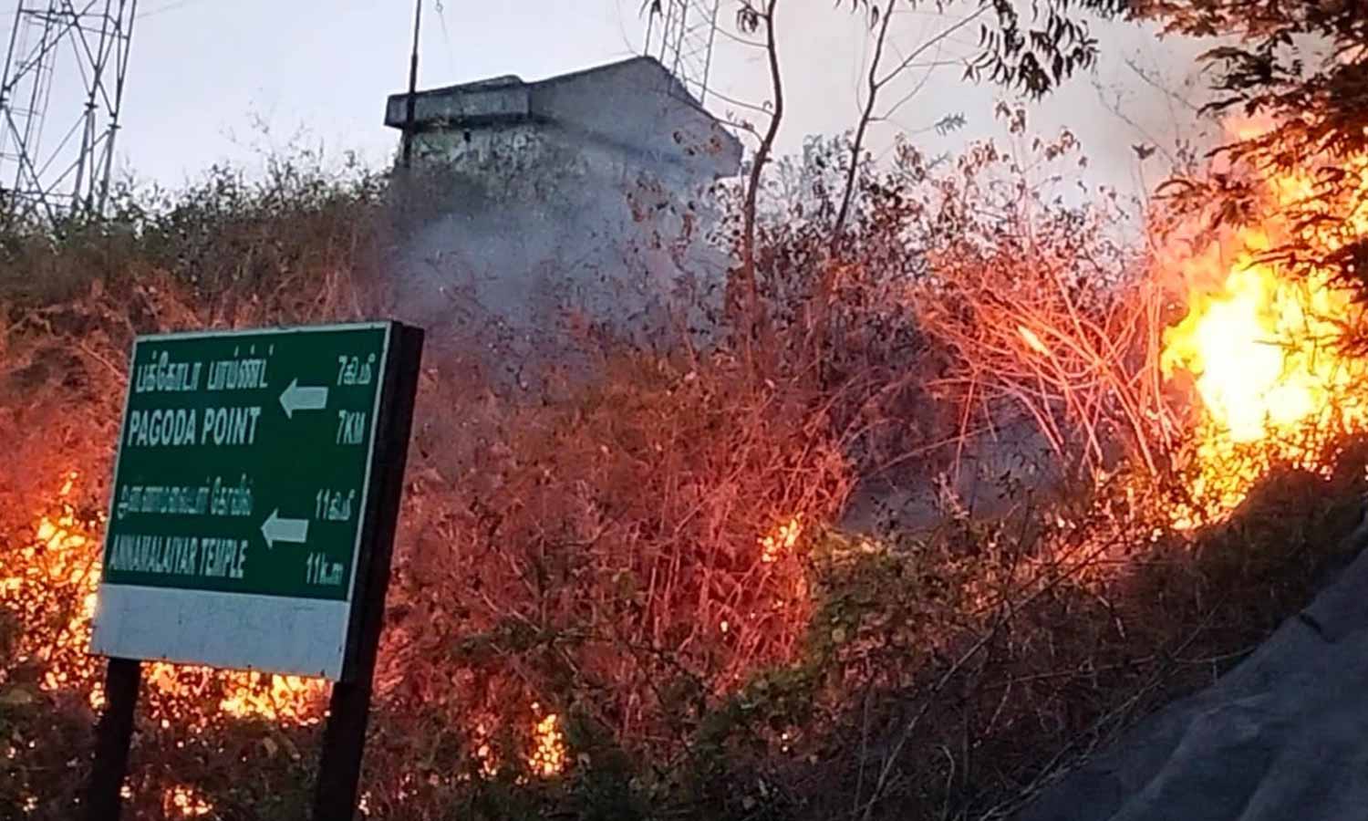 ஏற்காட்டில் மீண்டும் பற்றி எரிந்த காட்டுத்தீ | Tamil News again forest ...