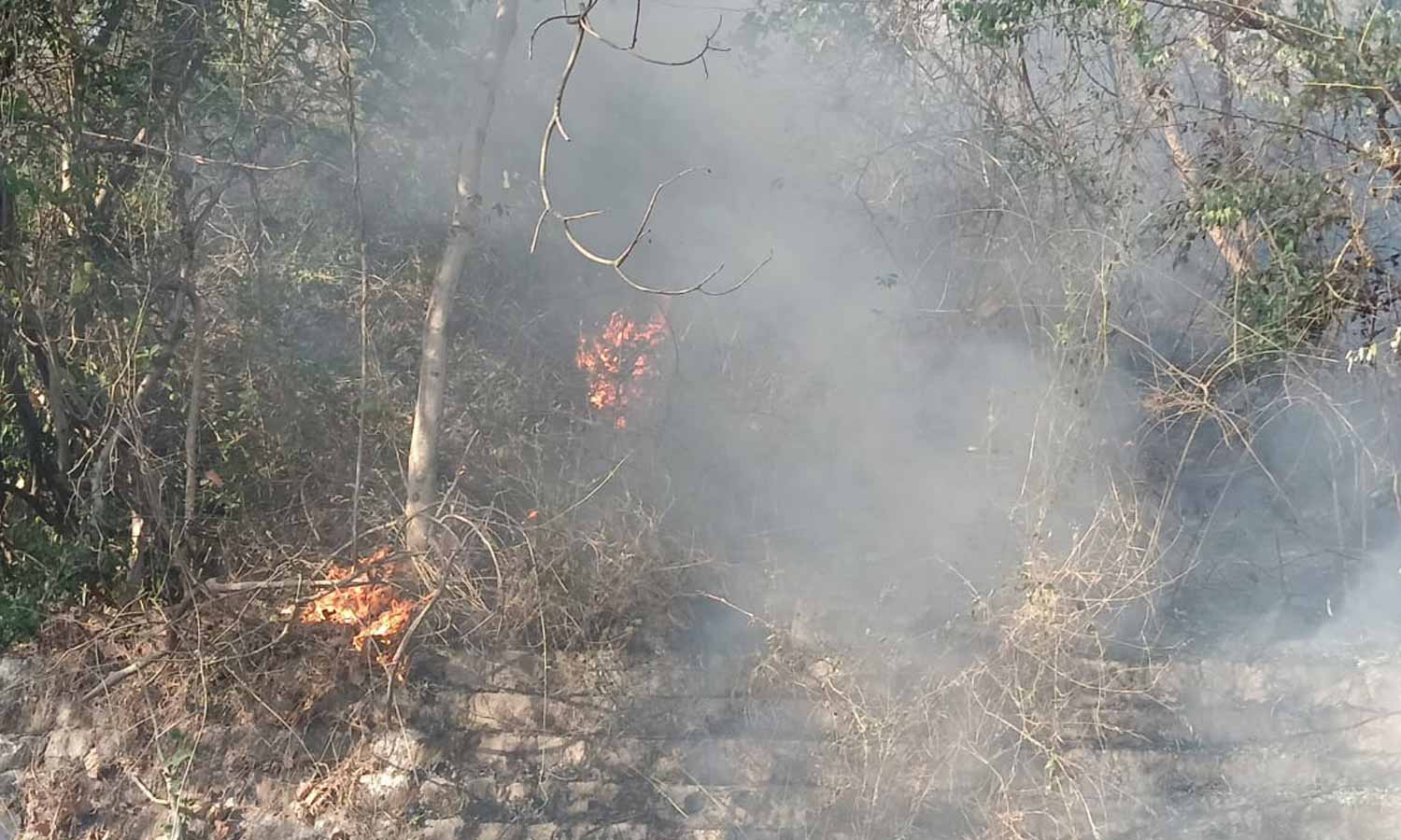 கடும் வறட்சி நிலவுவதால் ஏற்காடு மலைப்பாதையில் காட்டுத்தீ | Tamil News ...