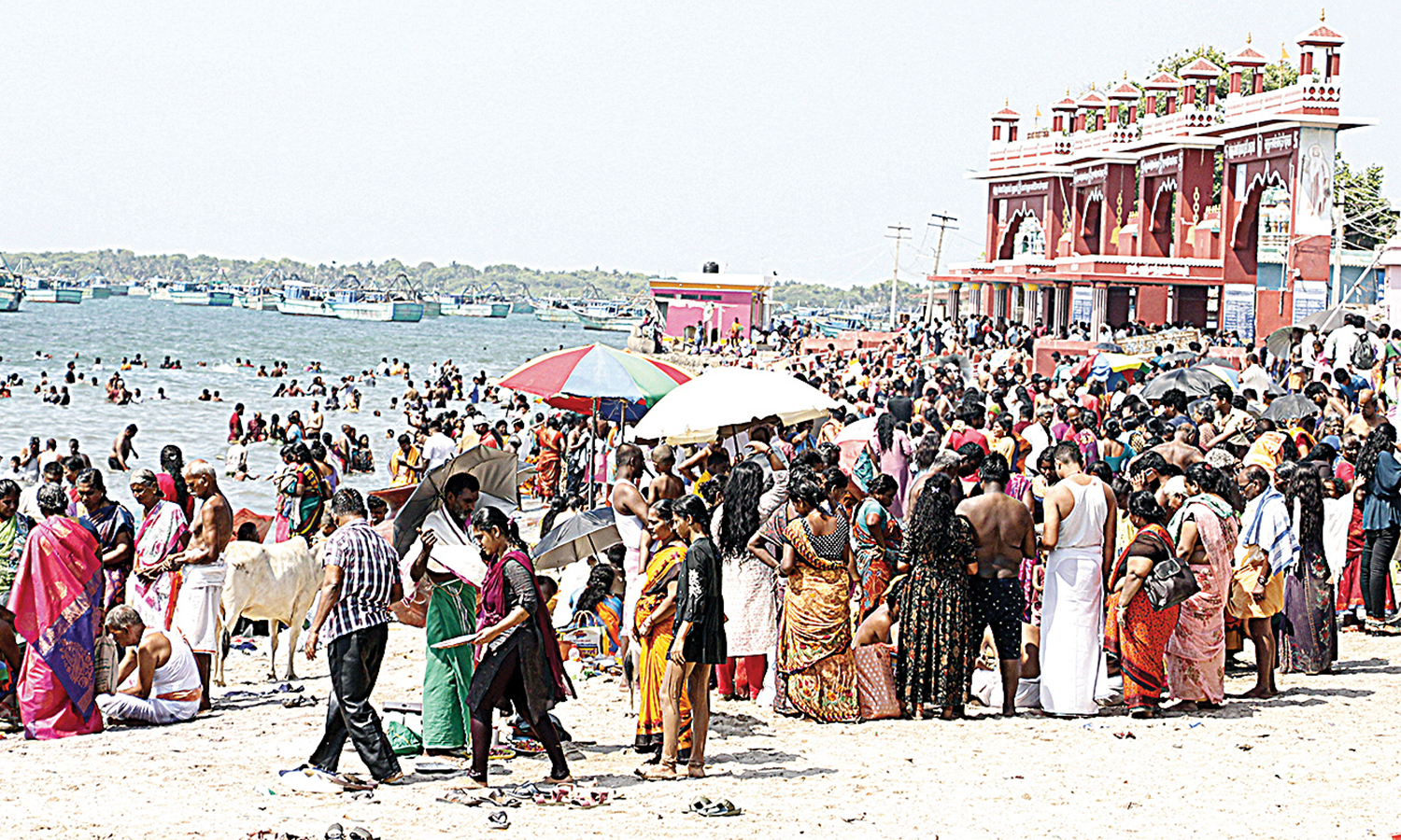 சித்திரை மாத அமாவாசை: ராமேசுவரத்தில் ஆயிரக்கணக்கான பக்தர்கள் குவிந்தனர் ...