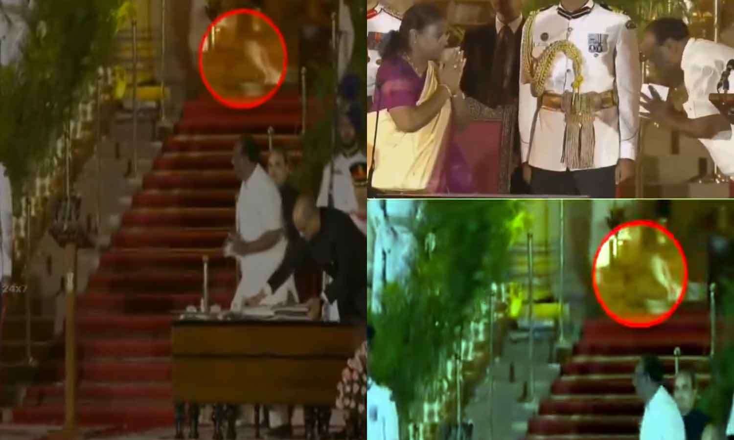 மோடி பதவி ஏற்பு விழாவில் சிறுத்தை வந்தது எப்படி?- வைரல் | How did the ...
