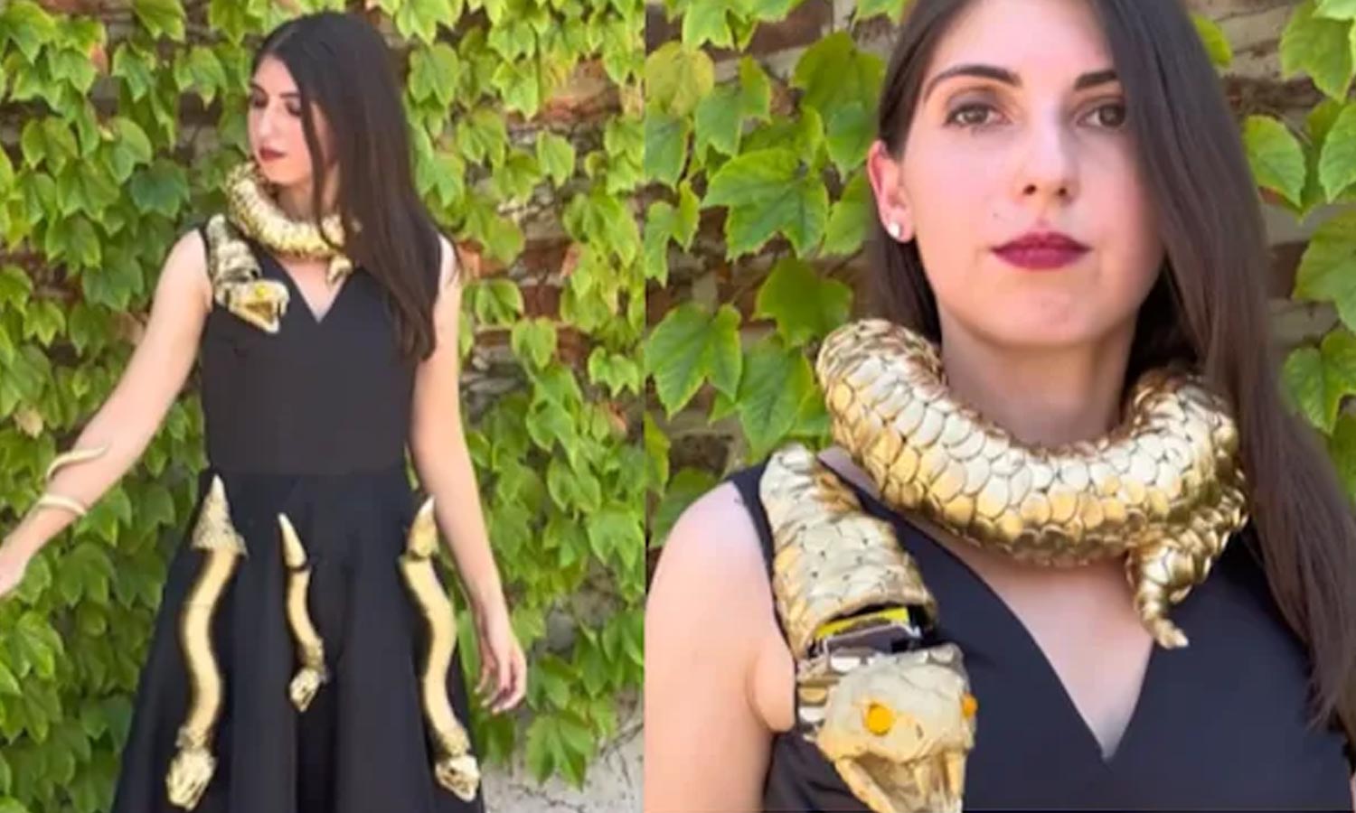 பெண்ணை பார்த்தால் சீறும் பாம்பு உடை- வீடியோ வைரல் | Google Engineer ...