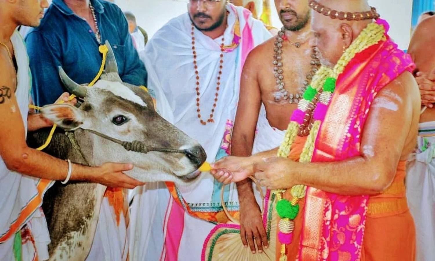 துன்பங்களை அகற்றும் கோ பத்ம விரதம் | Go Padma fast to remove suffering