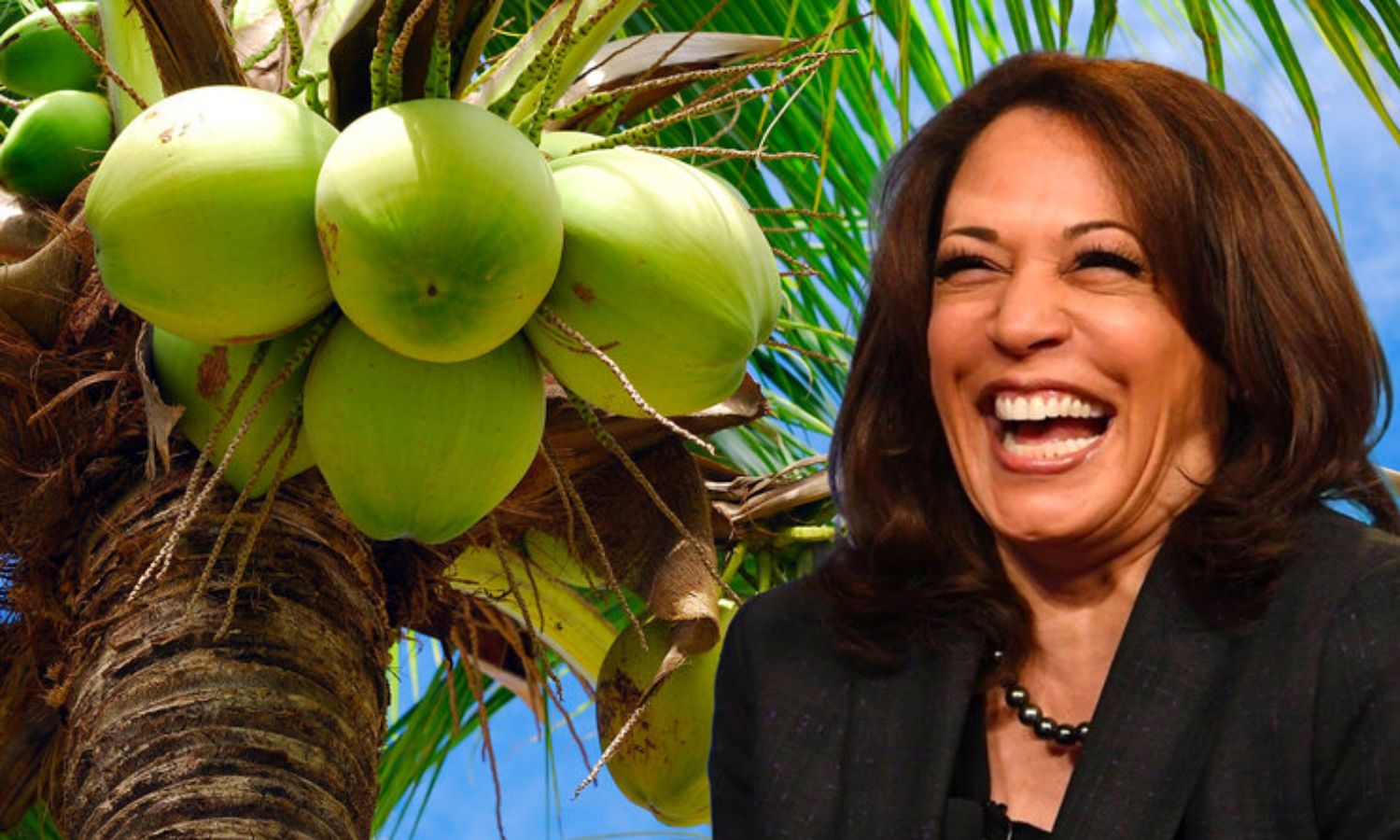 கமலா ஹாரிஸ் தென்னை மர மீம்-Kamala Harris Coconut Tree Meme