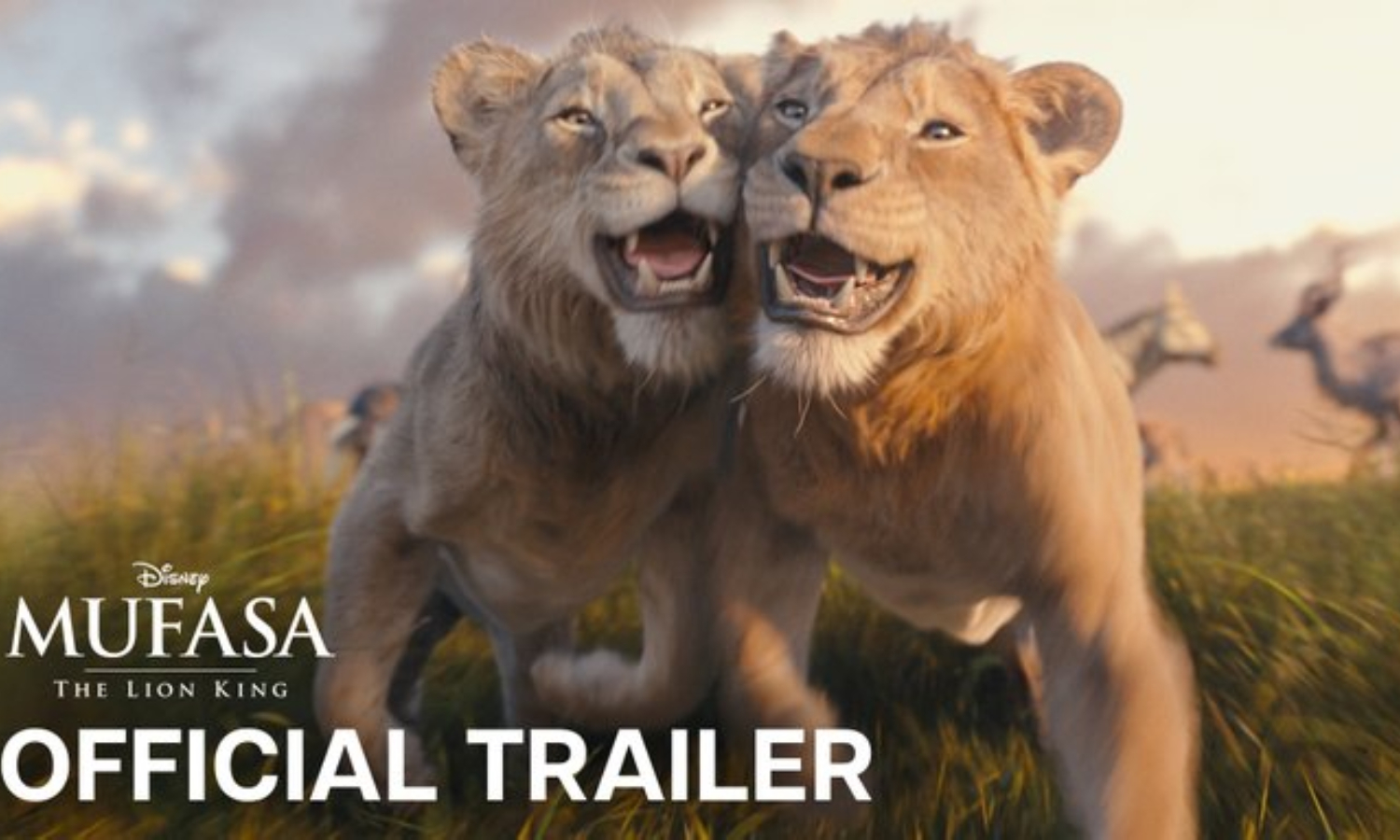 முஃபாசா: தி லயன் கிங் படத்தின் டிரைலர் வெளியாகியுள்ளது.| The trailer of Mufasa : The Lion King ...