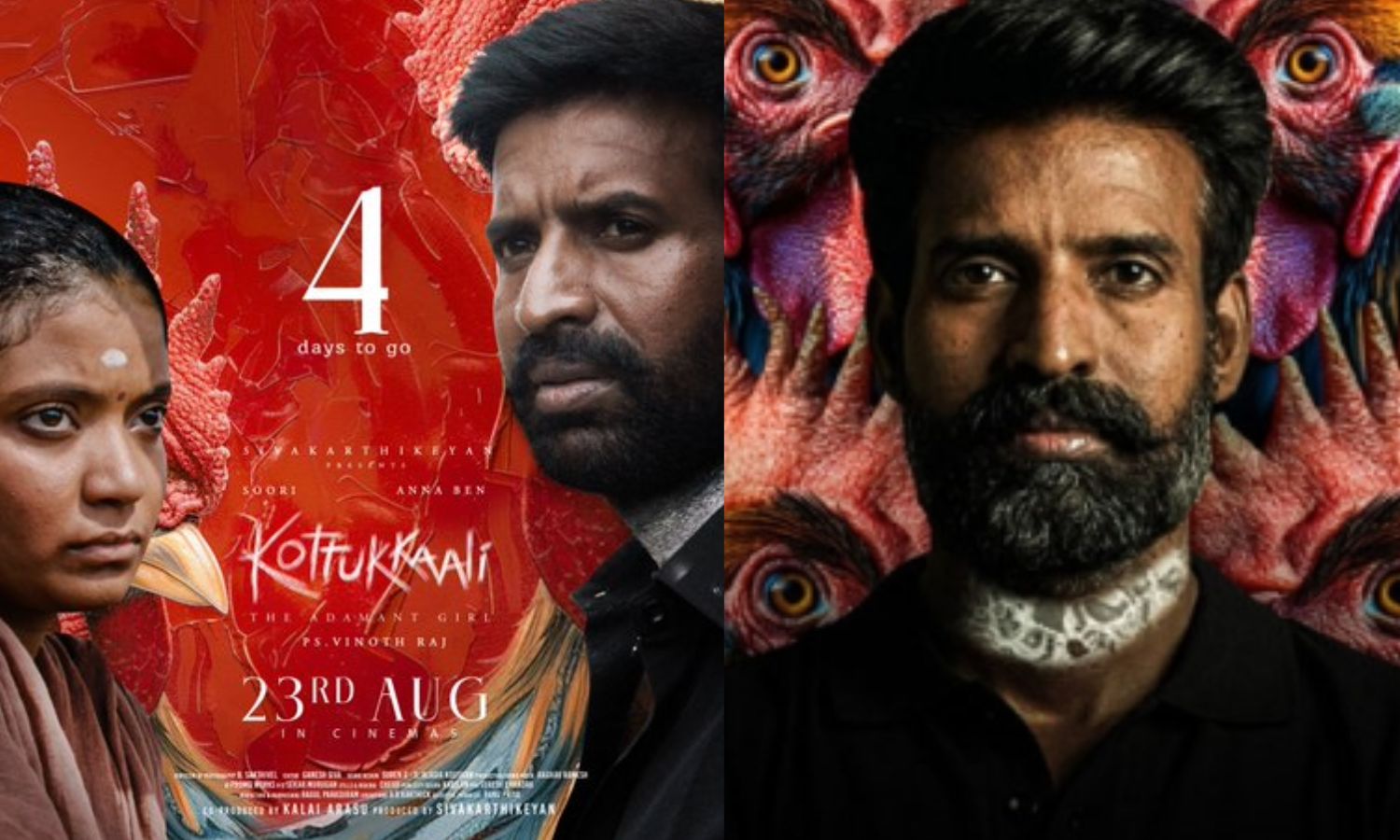 கொட்டுக்காளி புதிய போஸ்டர் வெளியீடு -Kottukali new poster release