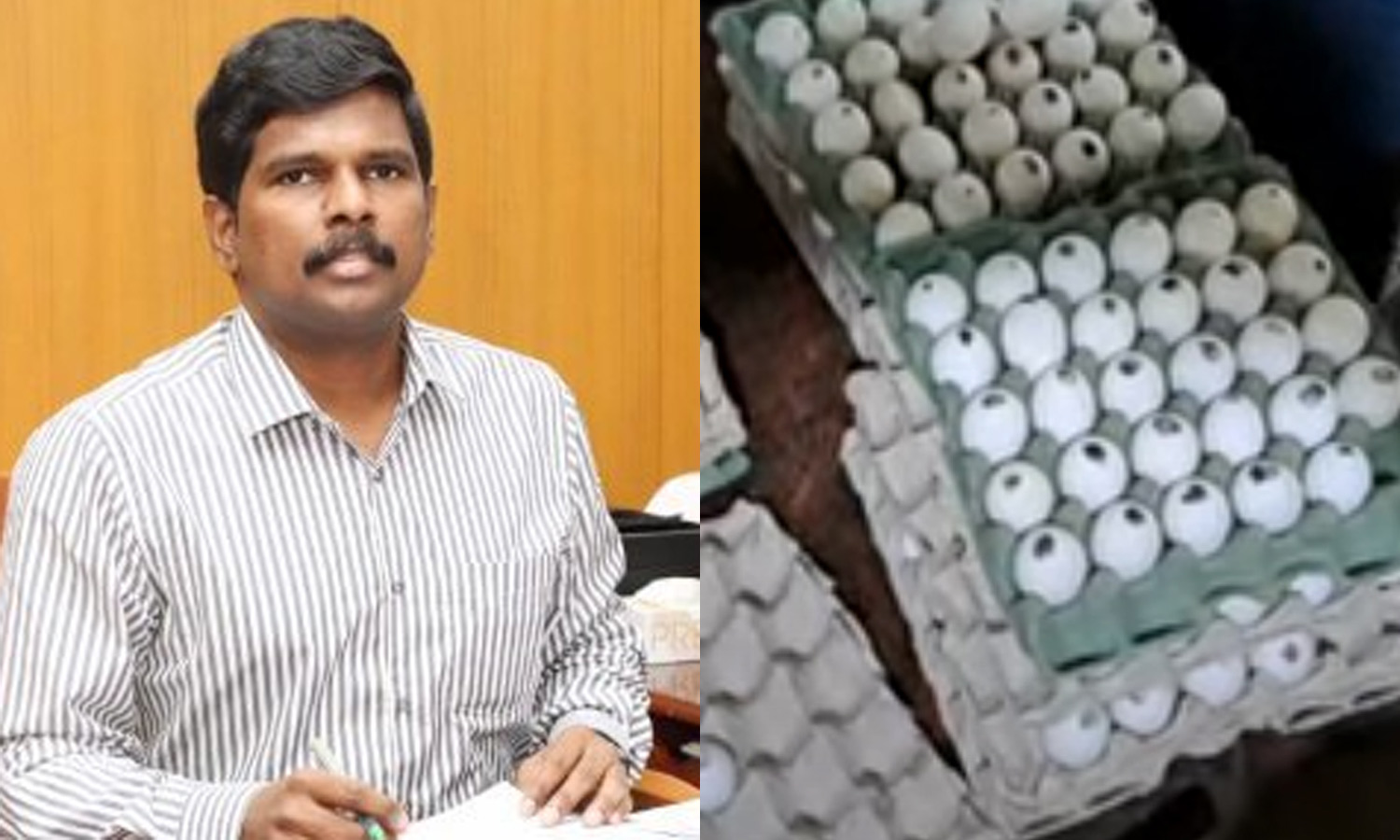 Sale of government eggs criminal action to be taken Collector, அரசு ...