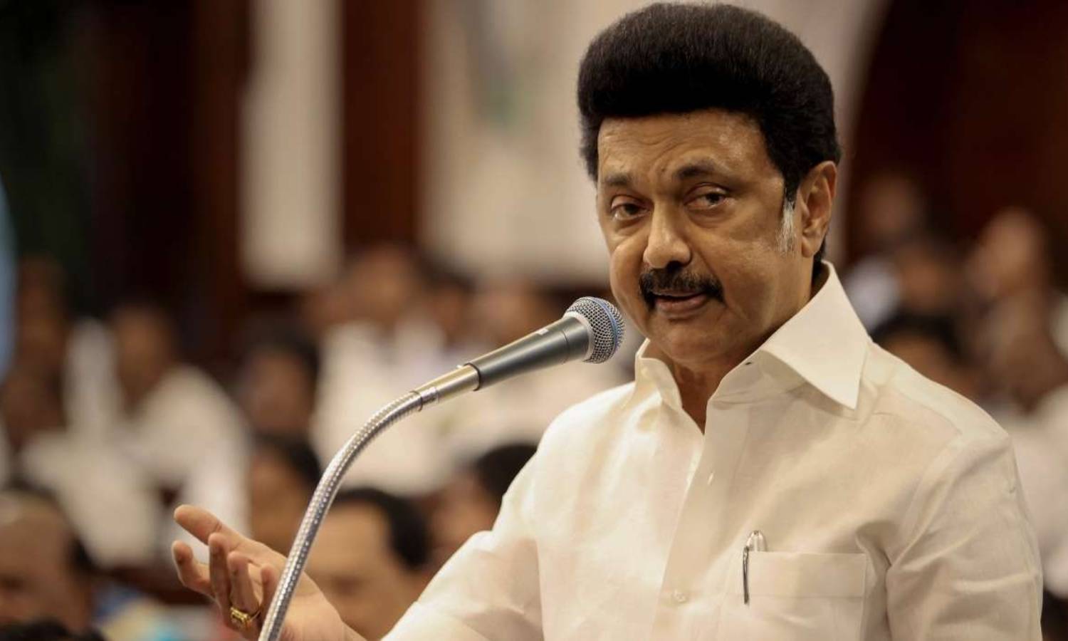 காலை 11 மணிக்கு தொடங்குகிறது/Starts at 11 am