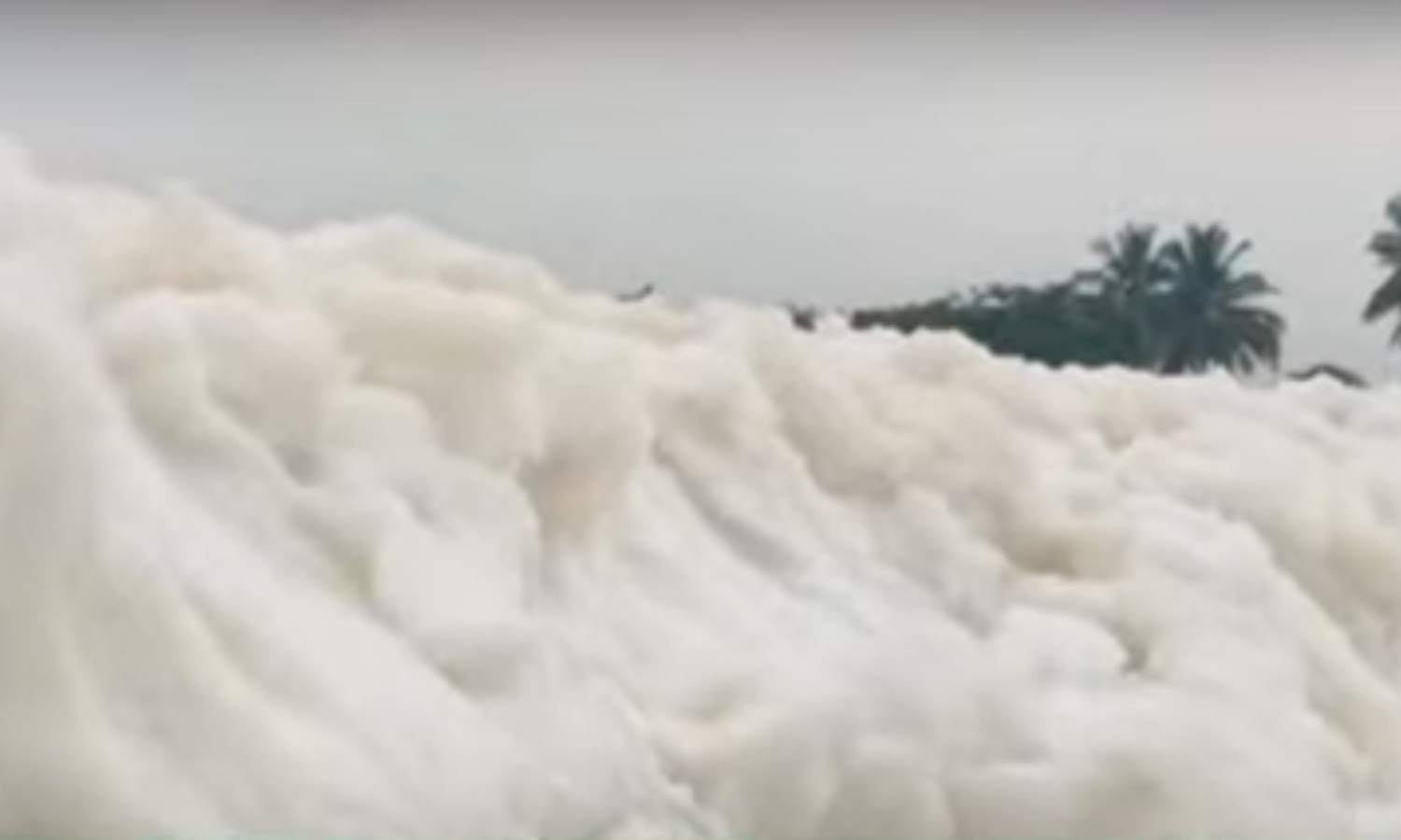 Chemical foams billowing from Hosur Kelavarapalli Dam, ஓசூர் ...