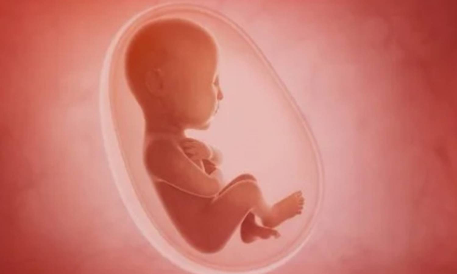 பனிக்குட நீர்/amniotic fluid