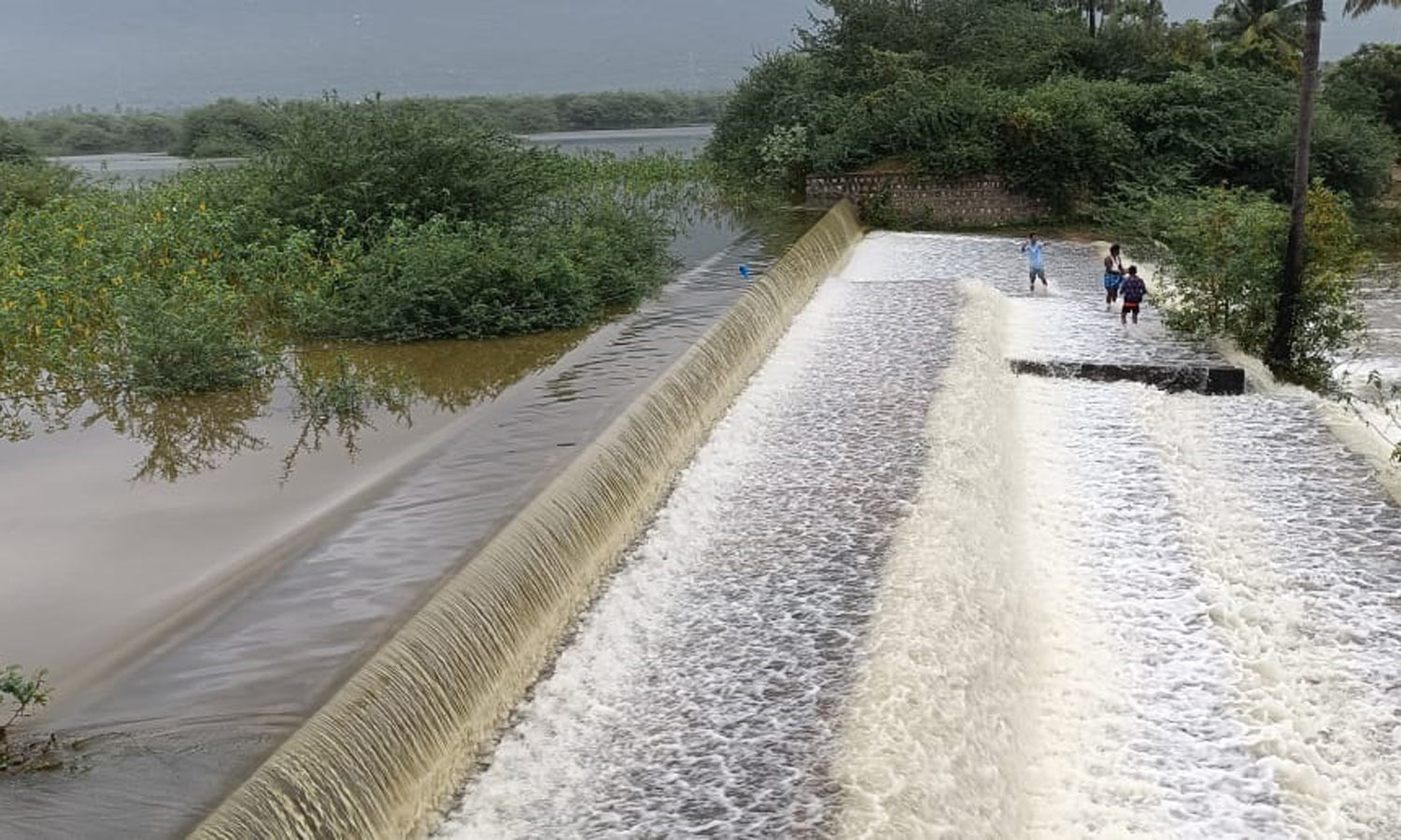 தொடர் மழையால் ஆறுகளில் வெள்ளப்பெருக்கு- ஏரி, குளங்கள் நிரம்பி வழிகிறது ...