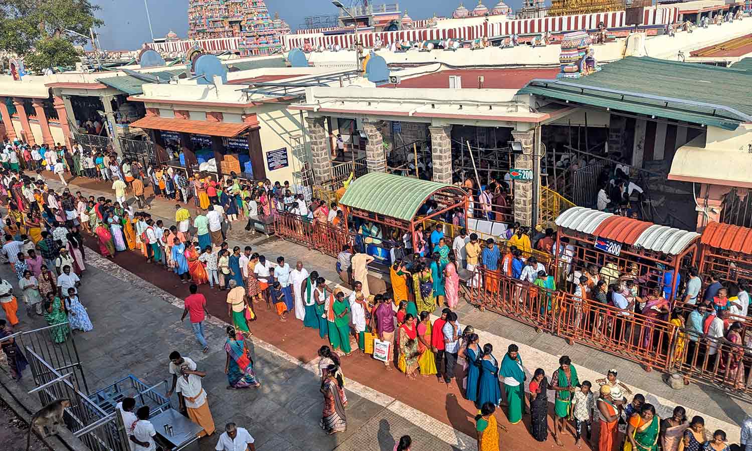 பழனி முருகன் கோவிலில் அதிகாலை முதல் பக்தர்கள் காத்திருந்து சுவாமி ...