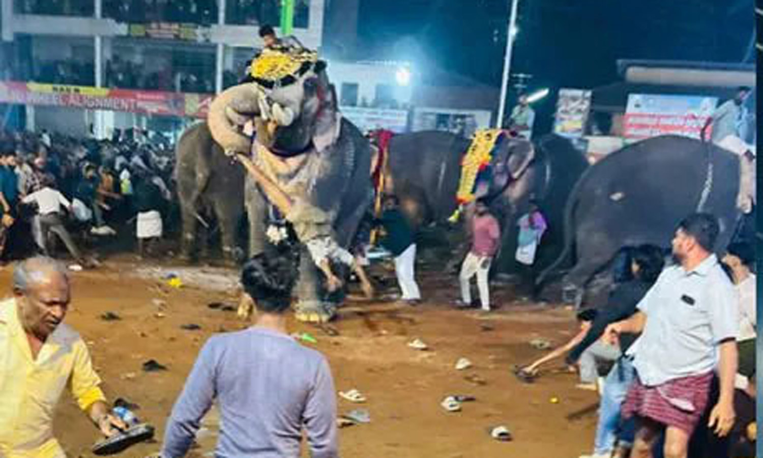 திருவிழாவில் மிரண்டு ஓடிய யானை- ஒருவர் பலி, elephant attack one death ...