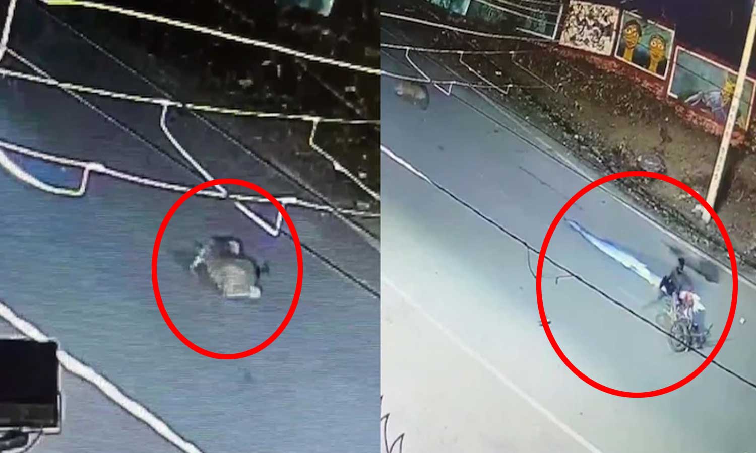 ராஜஸ்தானில் பைக்கில் வந்த பால்காரர் மீது வேகமாக மோதிய சிறுத்தை ...