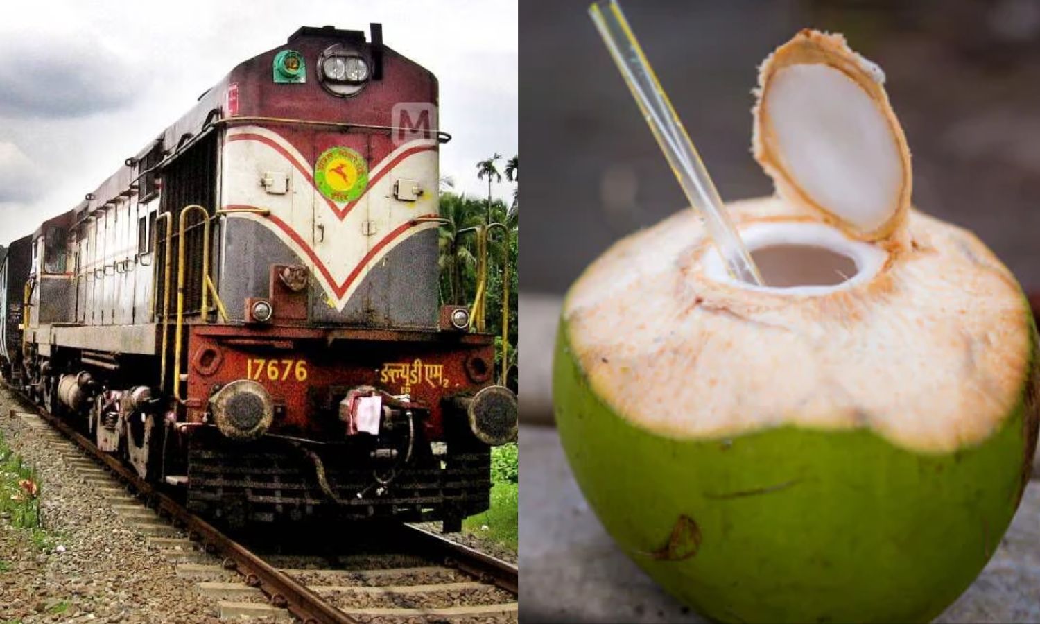 ரெயில் என்ஜின் டிரைவர்கள் இளநீர் குடிக்கத் தடை: தெற்கு ரெயில்வே போட்ட ...