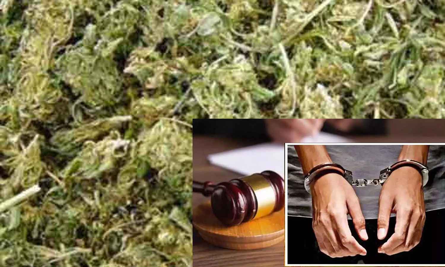கஞ்சா கடத்திய 3 பேர் கைது, smuggling ganja 3 arrested