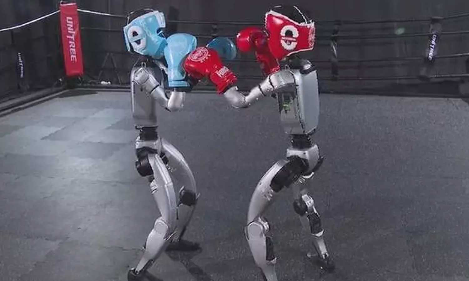 சீனாவில் குத்துச்சண்டை போட்டிக்கு தயாராகும் ரோபோக்கள் / Humanoid robots ...