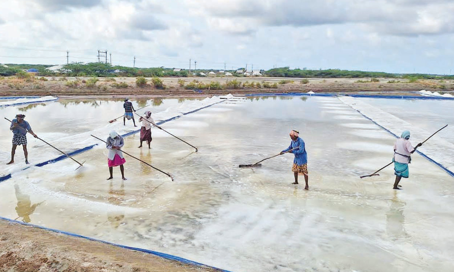 வெயில் தாக்கம் அதிகரிப்பு: வேதாரண்யத்தில் உப்பு உற்பத்தி பணி தீவிரம் ...