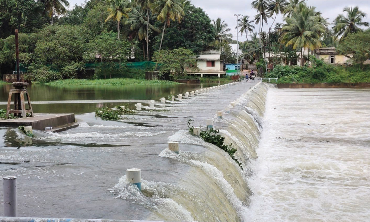 பெருஞ்சாணி அணை நீர்மட்டம் 70 அடியை எட்டியது - கோழிப்போர்விளையில் 105.8 ...