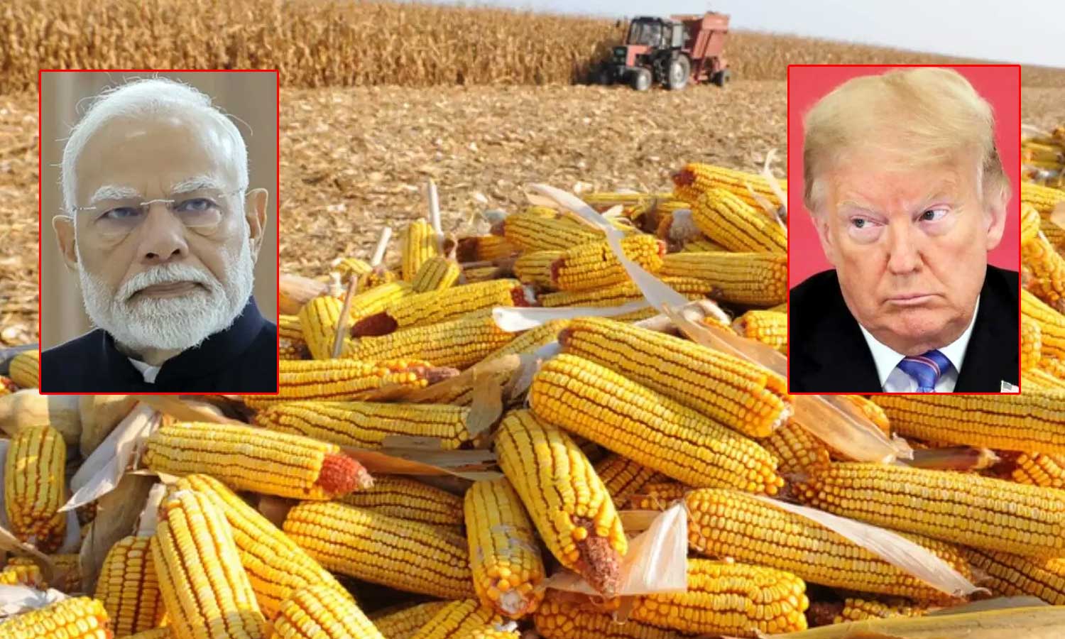 முதலில் ரஷிய எண்ணெய்: தற்போது சோளம்: இந்தியாவை அடிபணிய வைக்க ...
