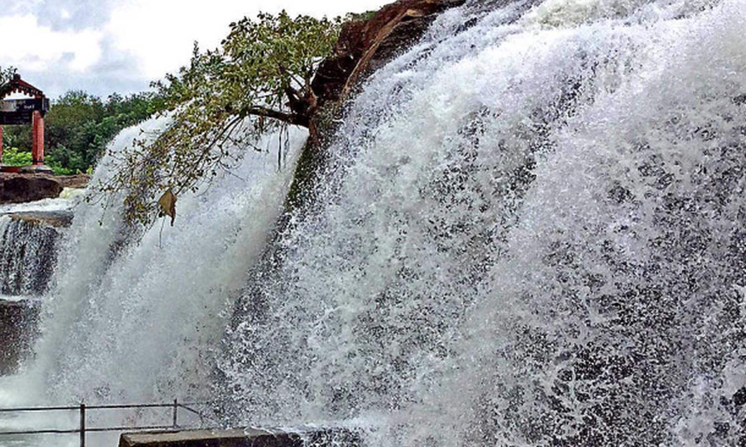 பேச்சிப்பாறை-பெருஞ்சாணி அணைகளுக்கு நீர்வரத்து அதிகரிப்பு, Water inflow ...